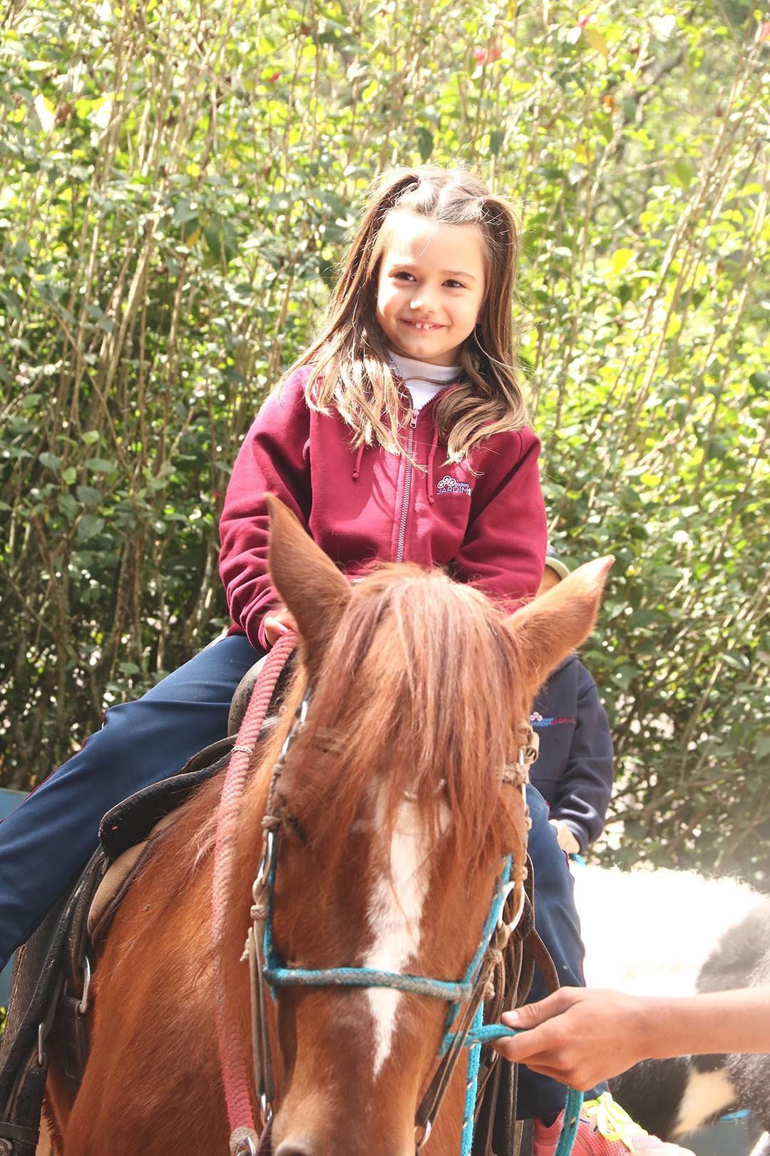 Passeios do CJSP: conhecendo os animais - Colégio Jardim São Paulo