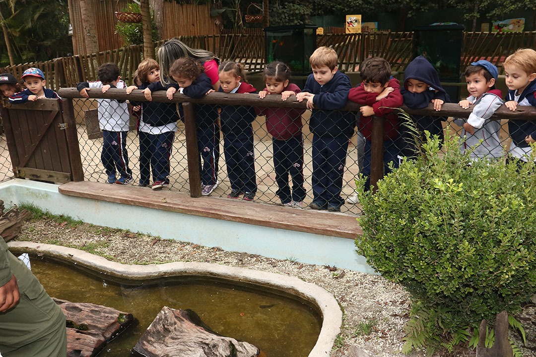 Passeios do CJSP: conhecendo os animais - Colégio Jardim São Paulo