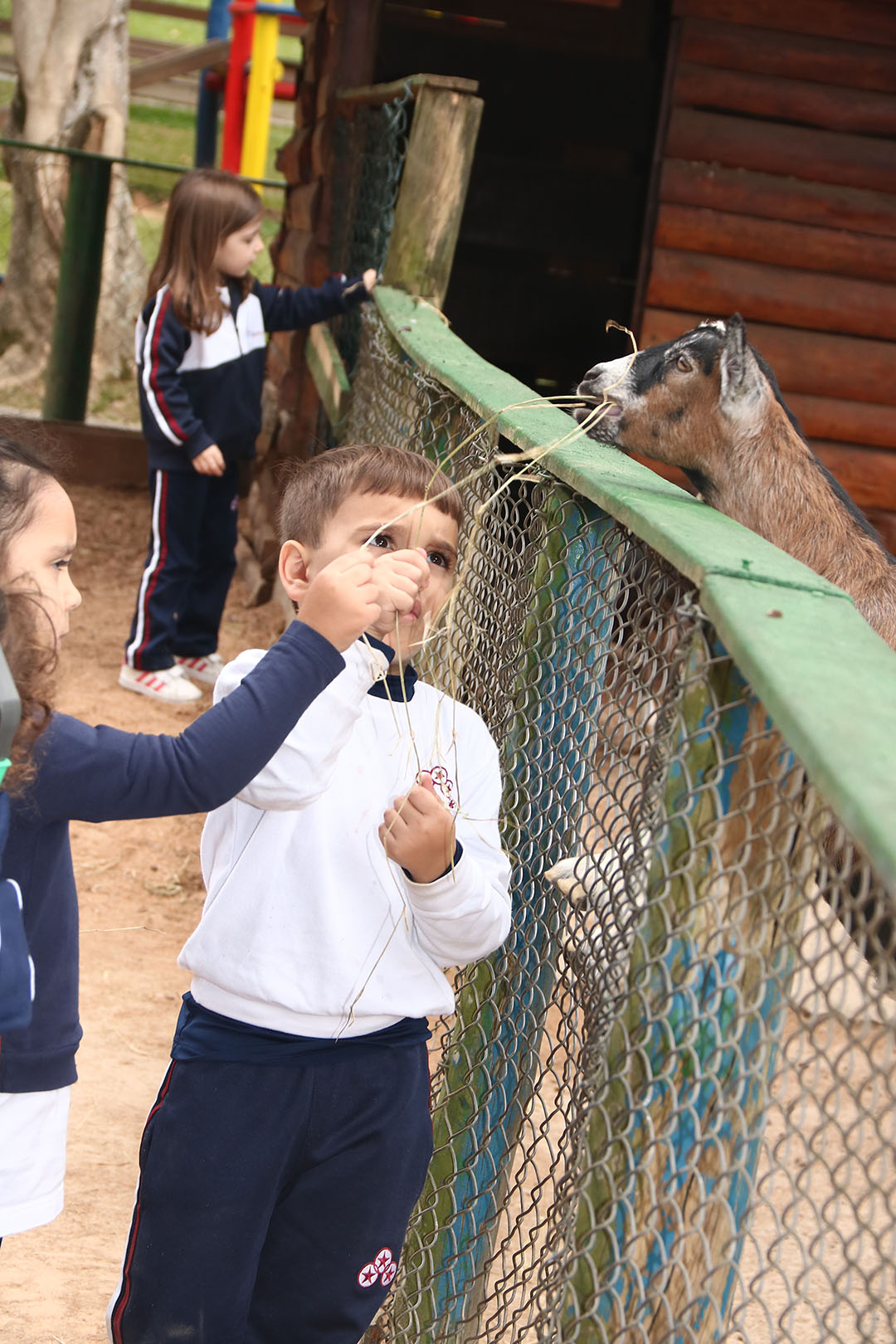 Passeios do CJSP: conhecendo os animais - Colégio Jardim São Paulo