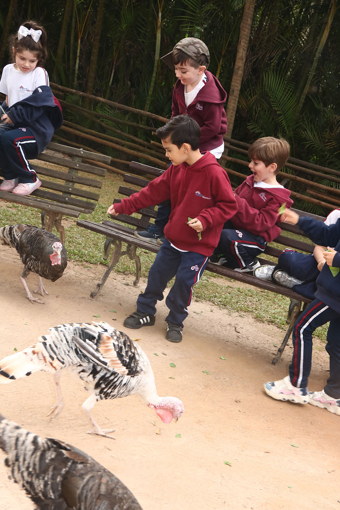 Passeios do CJSP: conhecendo os animais - Colégio Jardim São Paulo