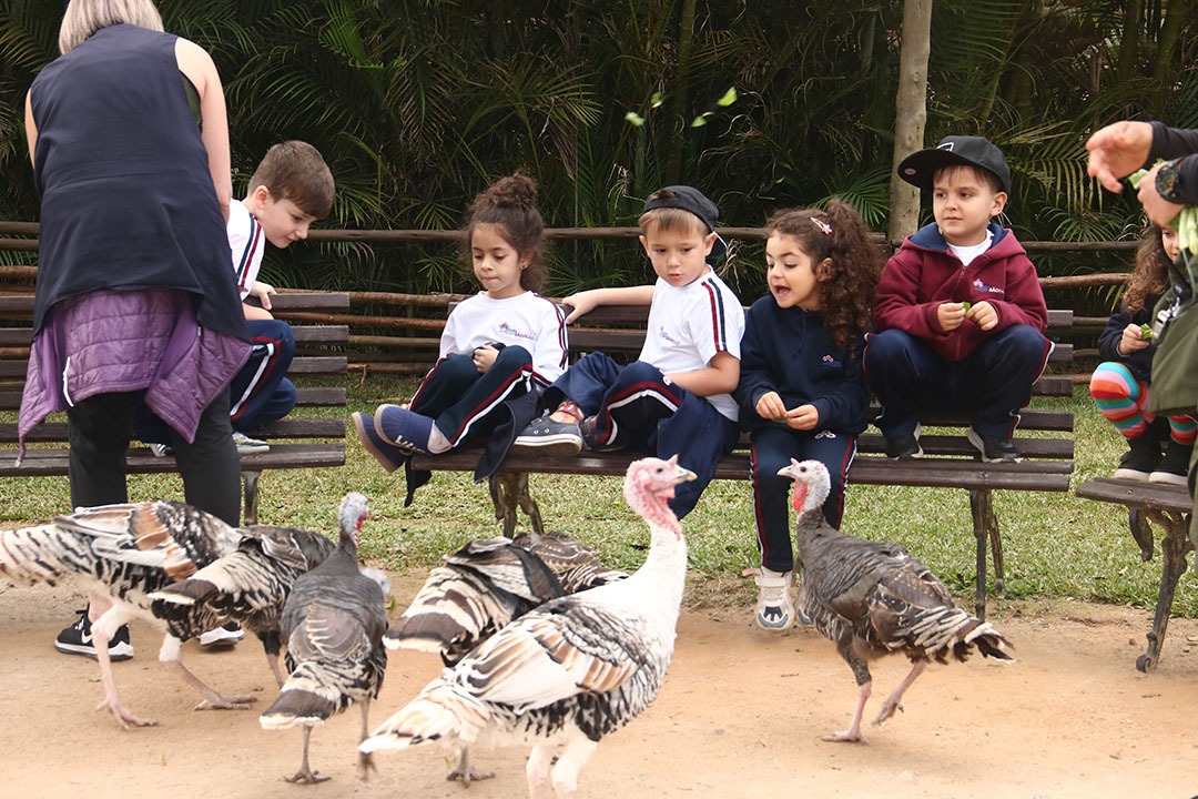 Passeios do CJSP: conhecendo os animais - Colégio Jardim São Paulo