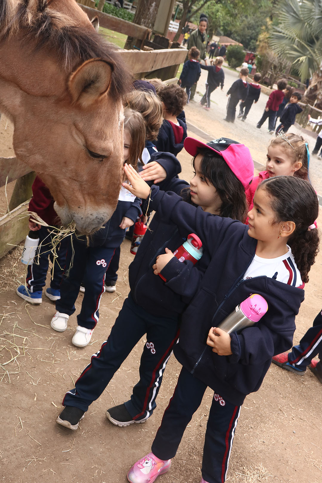 Passeios do CJSP: conhecendo os animais - Colégio Jardim São Paulo