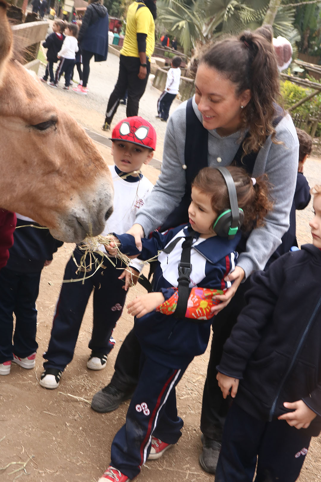 Passeios do CJSP: conhecendo os animais - Colégio Jardim São Paulo
